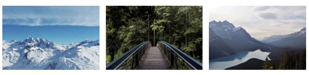 How Do I Align Images Side By Side W3Schools